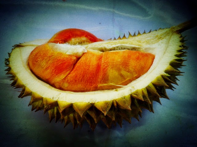 NIKMATNYA DURIAN MERAH KHAS BANYUWANGI