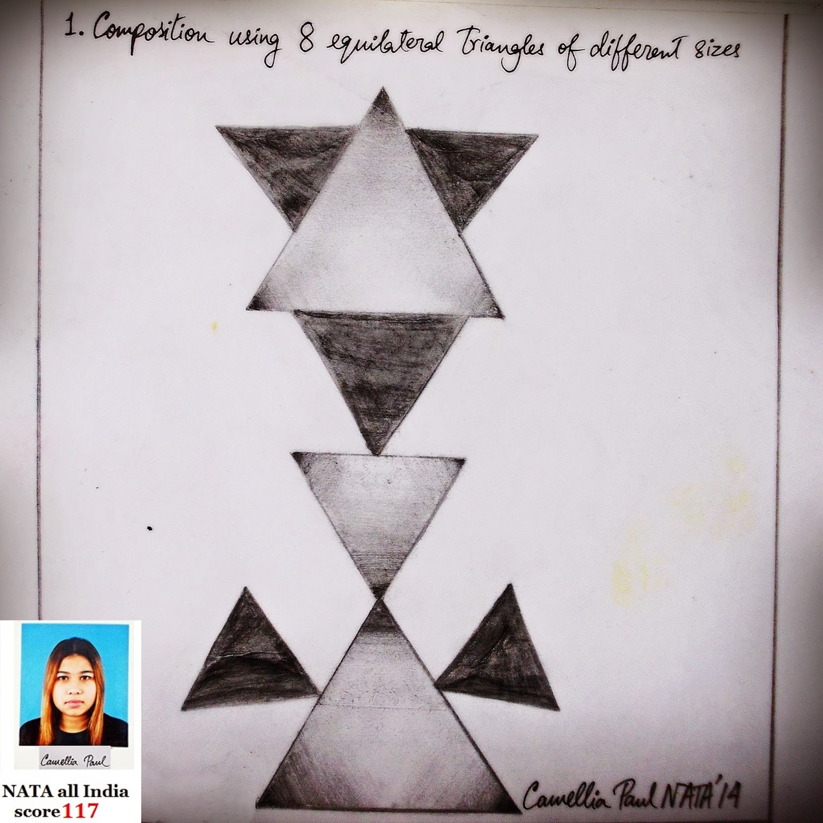 Camellia Paul: ODE TO NATA ASPIRANTS