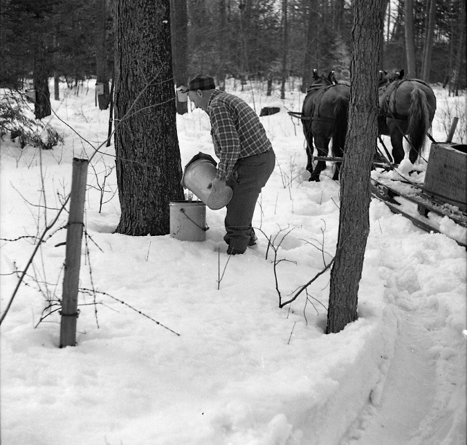 The Farmers' Museum: Maple Sugaring During a Full Sap Moon
