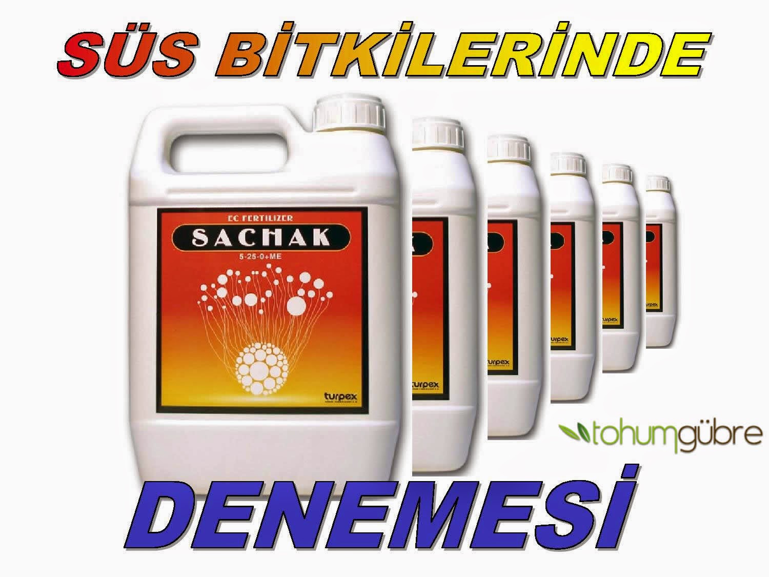 Süs Bitkilerinde Sachak Gübresi Denemesi