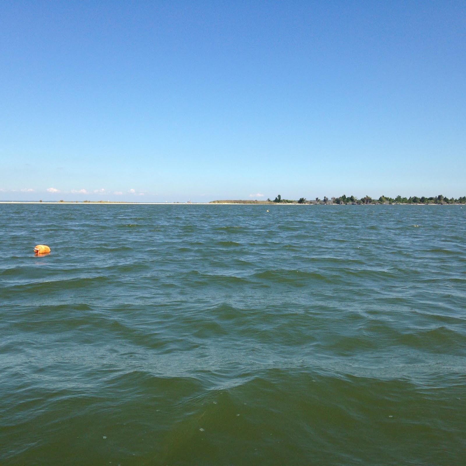 When in the Northern Neck: Northern Neck Water Trails: Currioman Bay ...