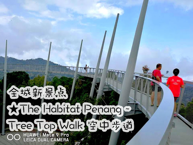 【全城新景点 ★The Habitat Penang ~ Tree Top Walk 空中步道，你探索了吗？】 - I Love Holiao ...