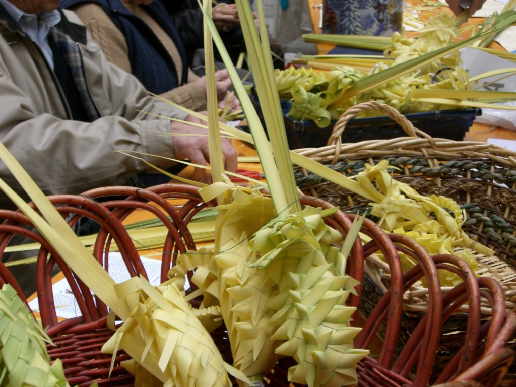 This Italian Life: LIFE: Palms @ the Vatican