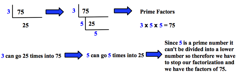 Life and What Not: Prime and Composite Numbers