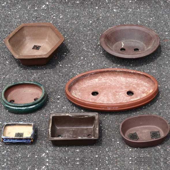 19+ Macam Bentuk Pot Bonsai, Paling Trend!