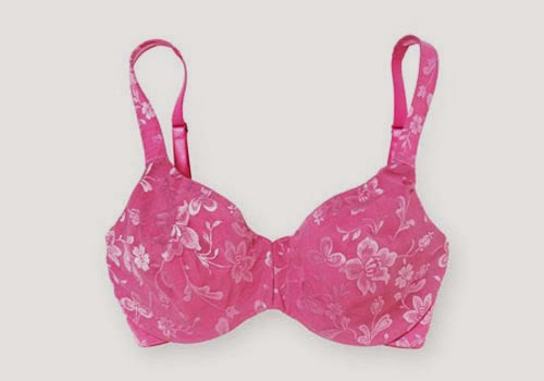 Inilah Model Serta Bentuk Bra Yang Cantik Dan Lucu