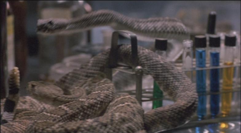 Soresport Movies: Venomous (2001) Horror Snakes