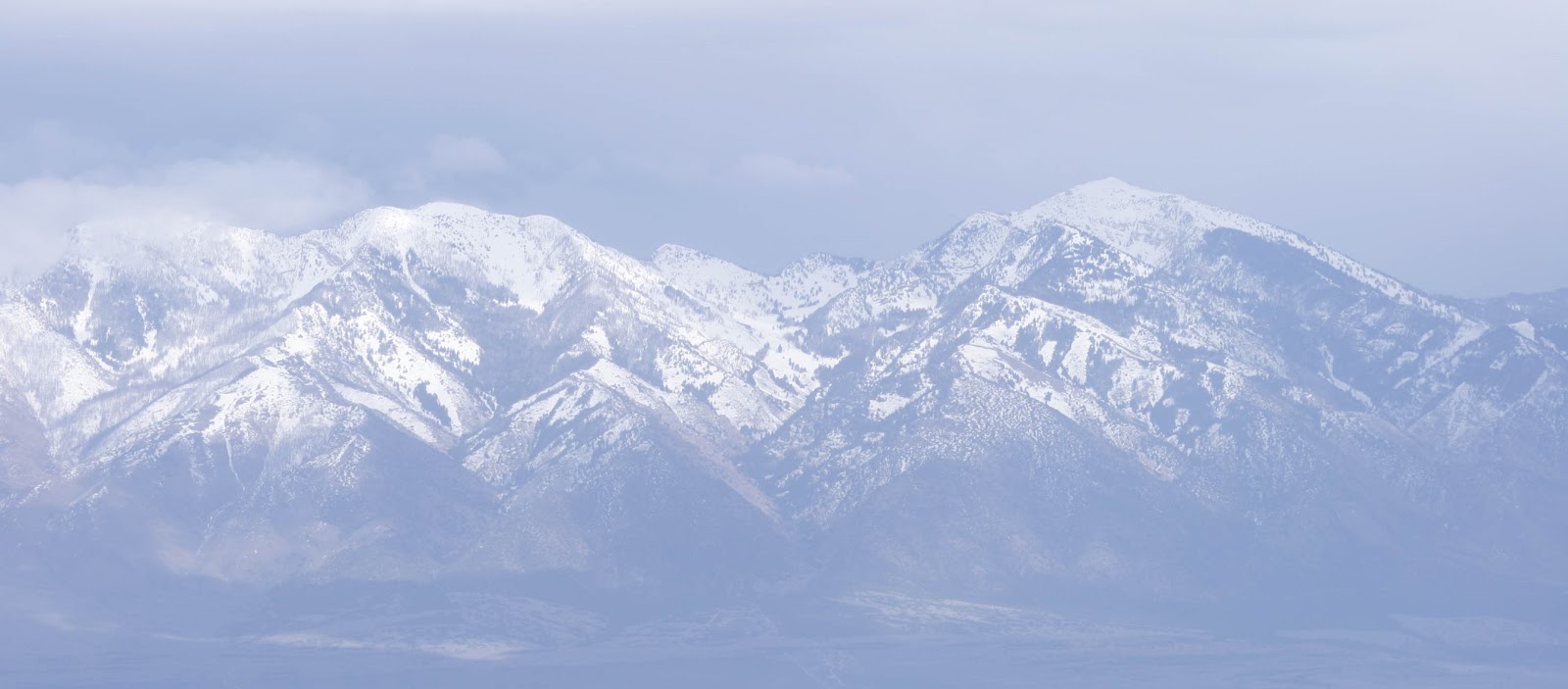 Great Basin Ute: Cedar Mountains Wilderness, Utah
