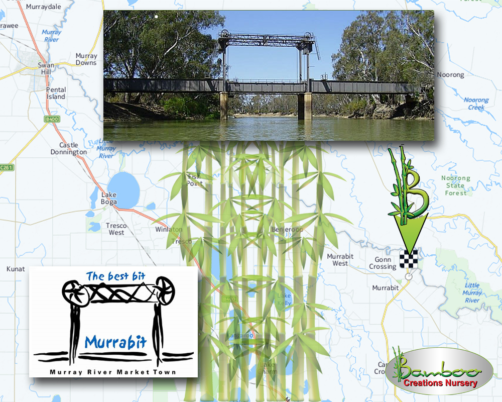 Bamboo Creations Victoria: New market for Bamboo Creations - Murrabit