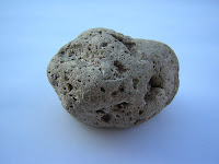 Javier Marco Castellot: TEMAS 1º BACHILLERATO BIOLOGÍA Y GEOLOGÍA HASTA ...