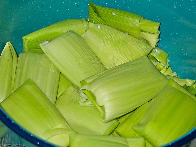 Bogo: The City of Pintos