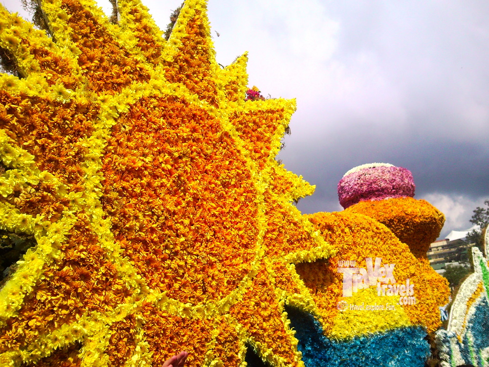 Baguio Flower Fest Tips and Guide - Travex Travels - Travel. Explore ...