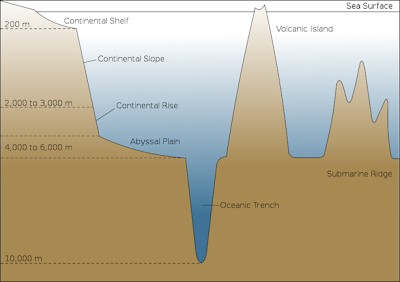 Landforms in the World: Coastal and Oceanic Landform (35.Oceanic Basin)
