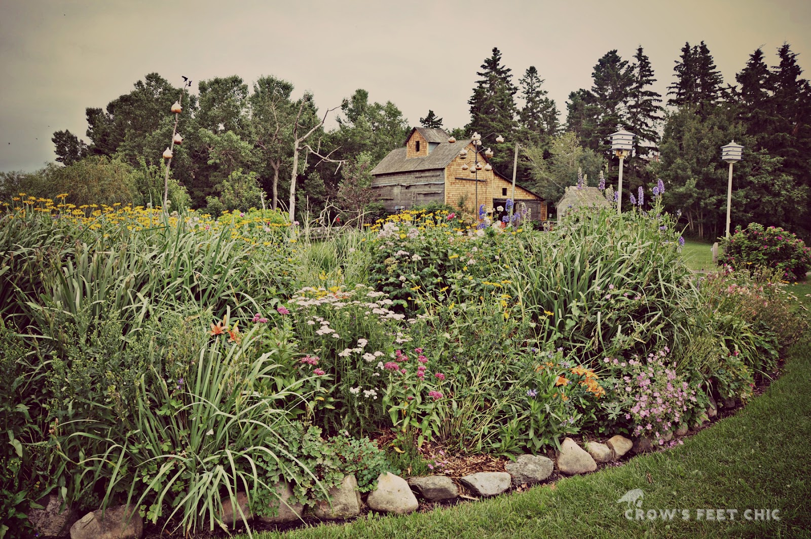 The Ellis Bird Farm | Crow's Feet Chic