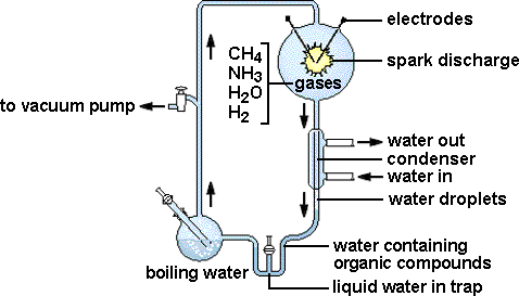 HSEB notes | Miller-Urey Experiment - Plus two HSEB notes.