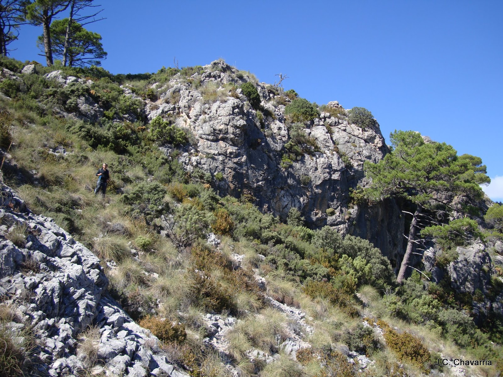 GPS Malaga: Circular Cueva de Nerja, Almendron, Barranco de los ...