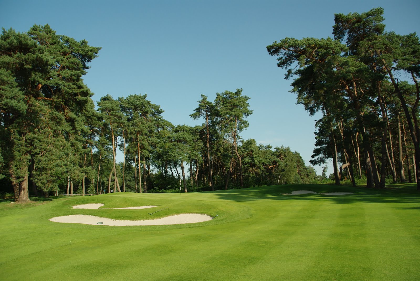 Die 50 besten Golfplätze Deutschlands?