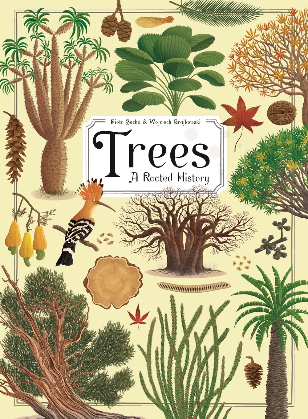 Let's Talk Picture Books: TREES: A ROOTED HISTORY