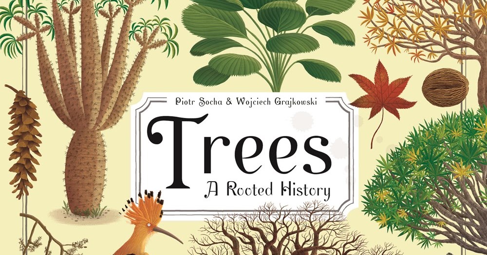 Let's Talk Picture Books: TREES: A ROOTED HISTORY