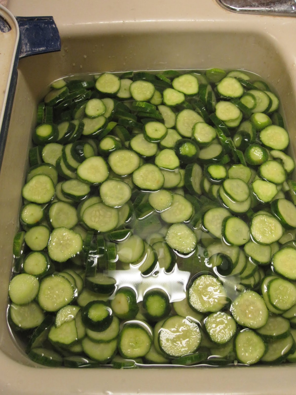Faith_Family_Farm: I Don't Need Any Pickling Cucumbers This Summer
