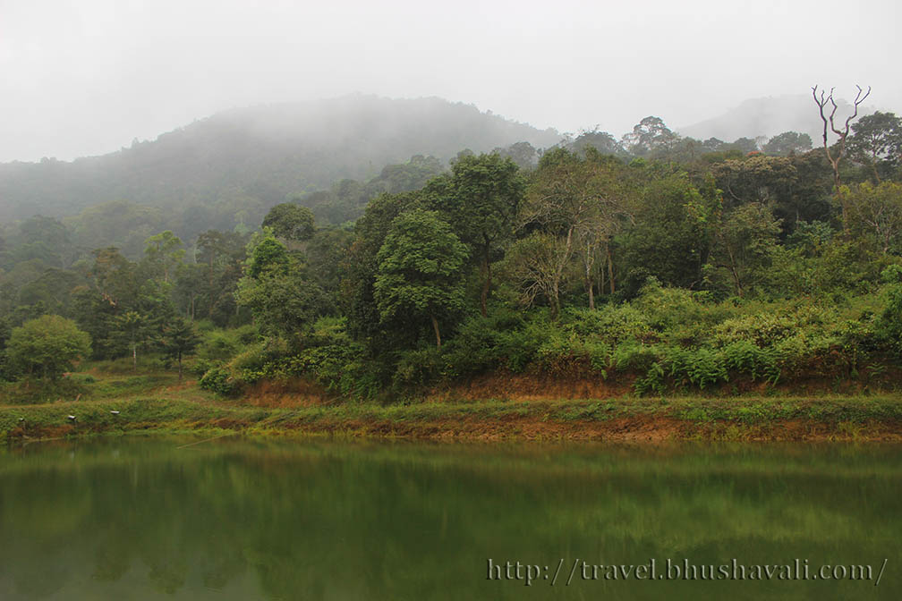 Magnolia Resorts - A Review (Coorg (Kodagu) - Karnataka) | My ...