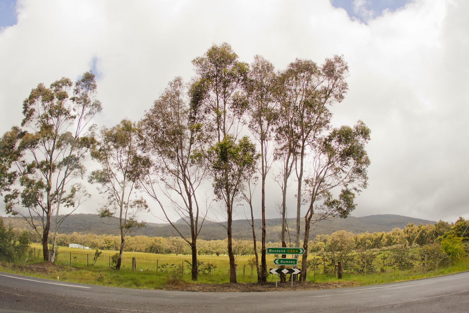 Spoonfuls of Wanderlust: Spring Hill Peony Farm & Macedon Ranges Weekender
