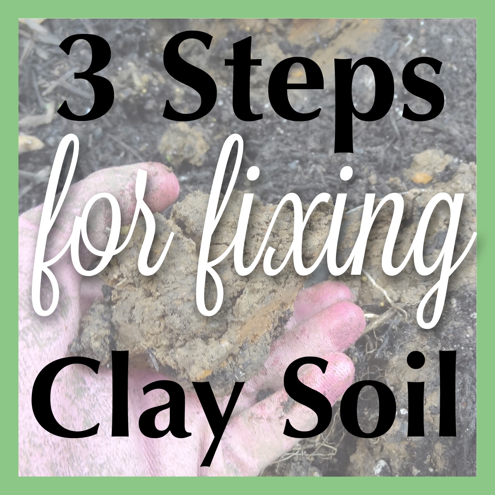 Harmony Hills Home and Garden: 3 Steps For Fixing Clay Soil