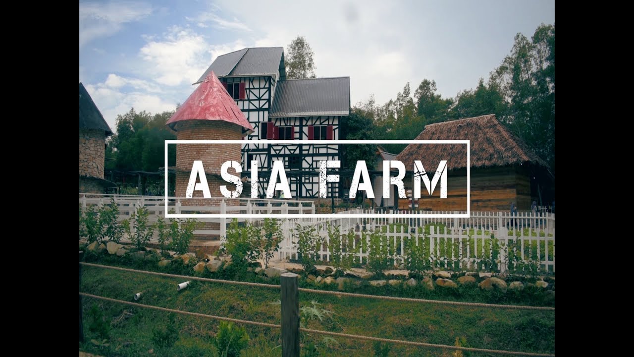 Step punya: Tempat Wisata Asia Farm