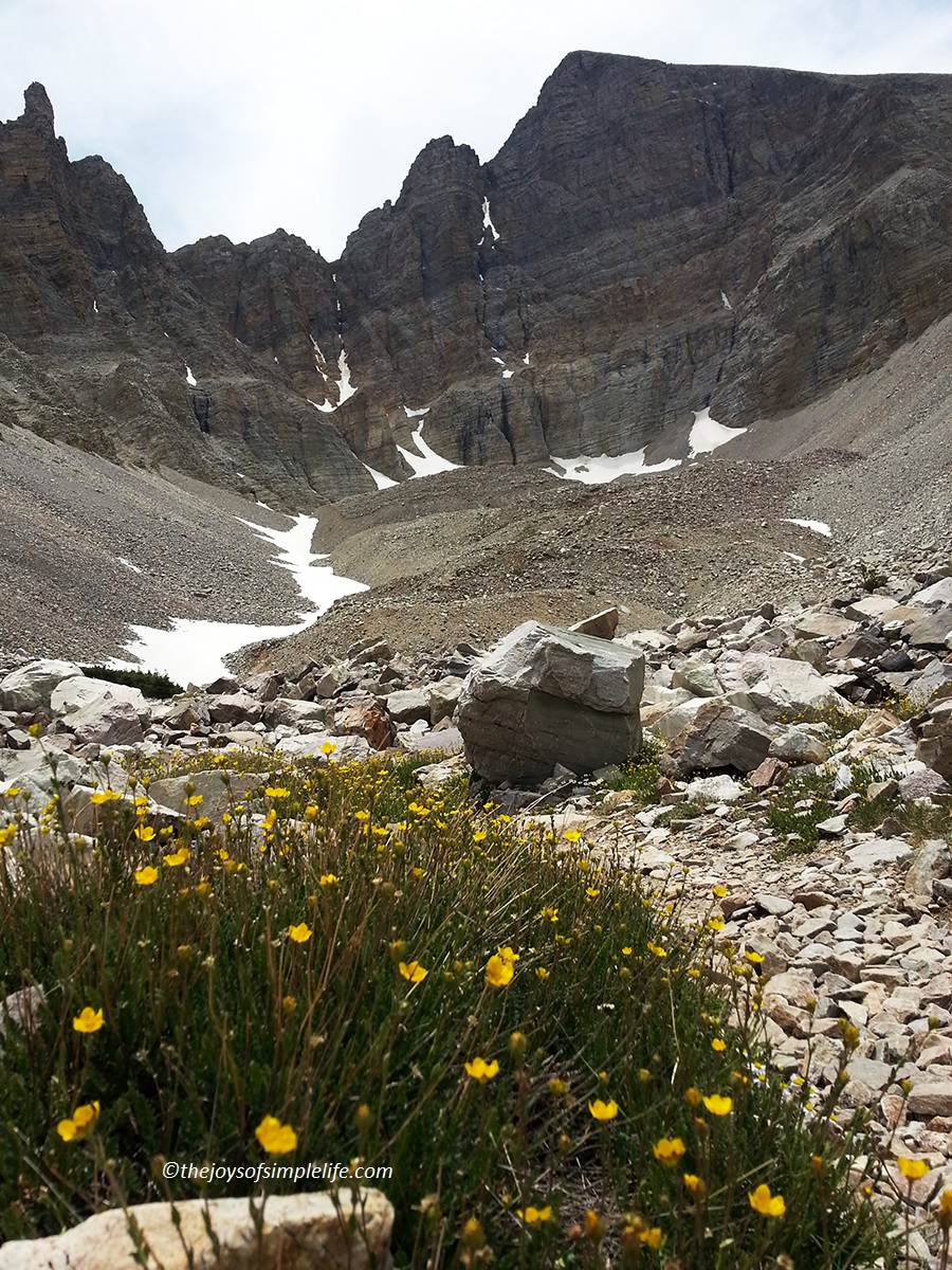 The Joys of Simple Life: Bristlecone and Glacier Trail, Great Basin ...