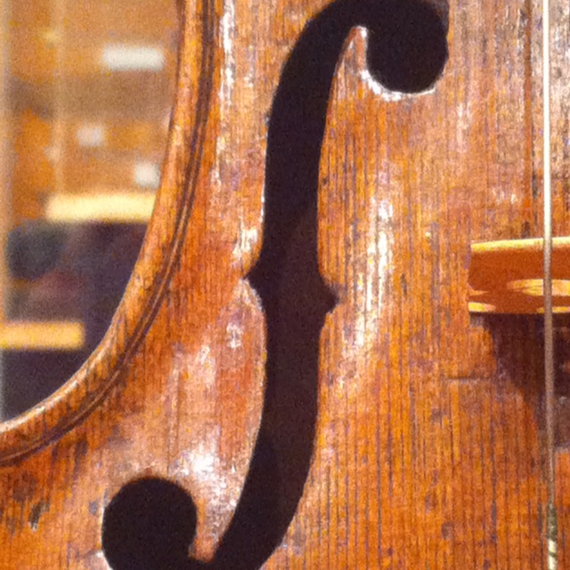 Mengenal Bagian-Bagian Biola untuk Pemula - Biola Kita