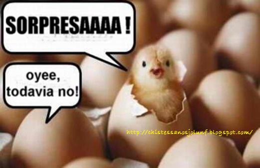 Chistes de pollo - Imagui