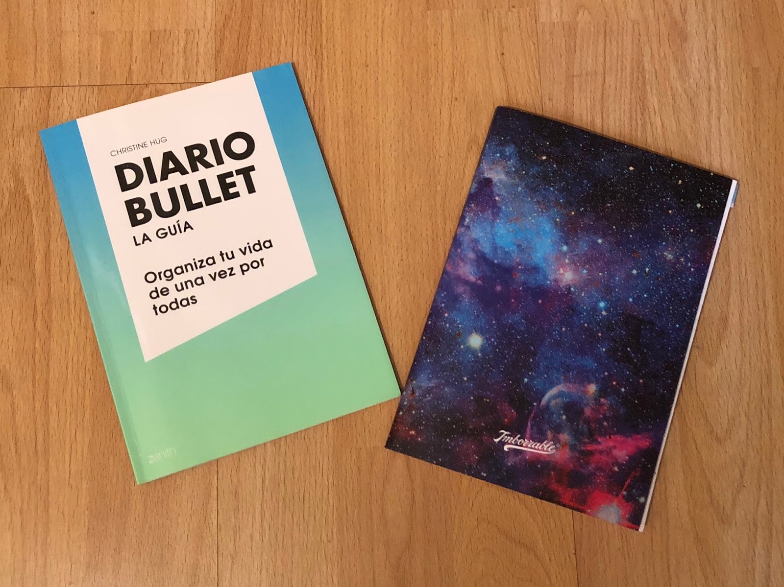 Tesorera de libros: Diario bullet. La guía| Christine Hug