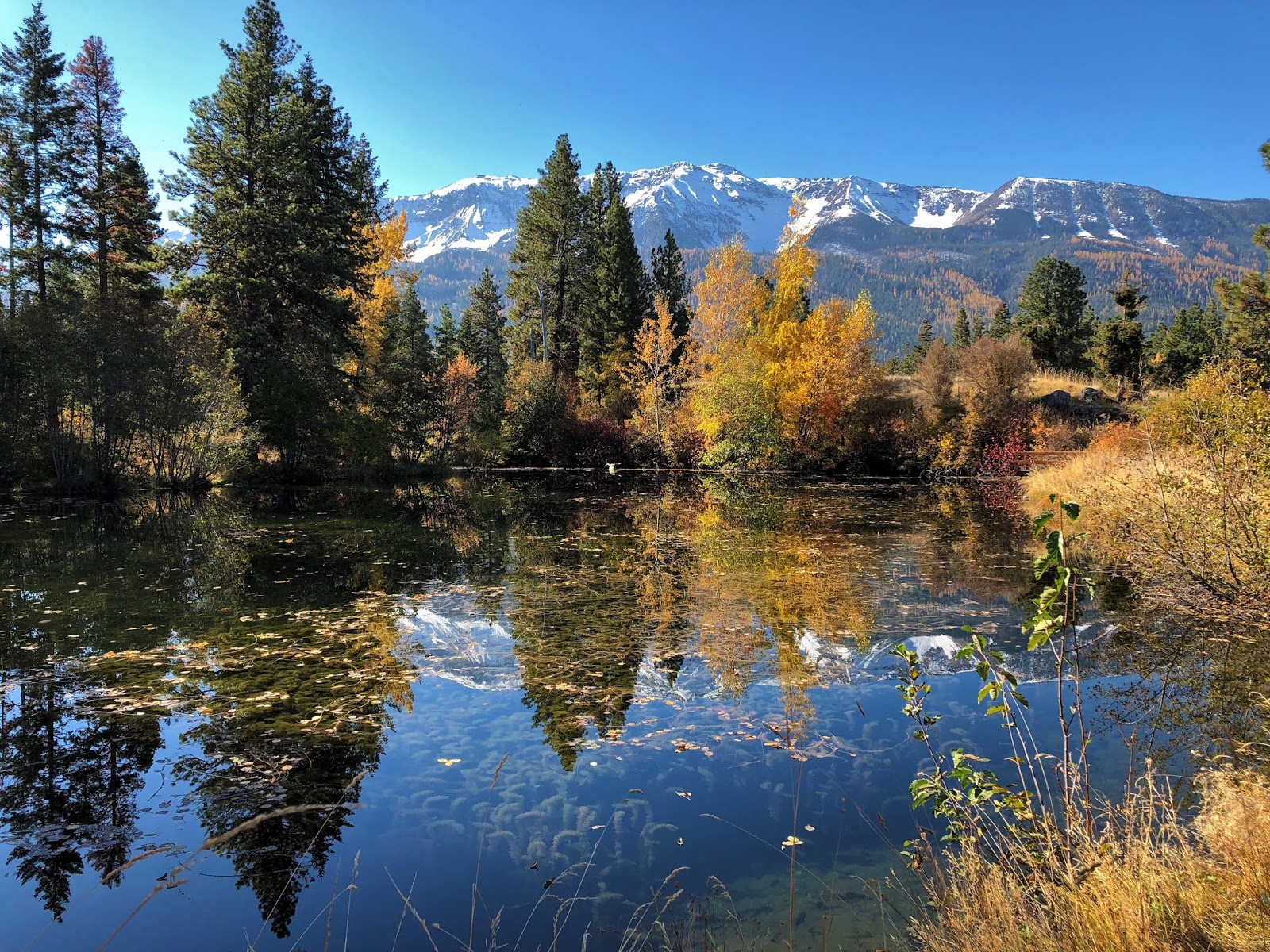 Down the Road: Beautiful Wallowa Lake, Oregon