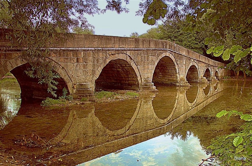 Ljepote Bosne i Hercegovine: Rimski most na Ilidži