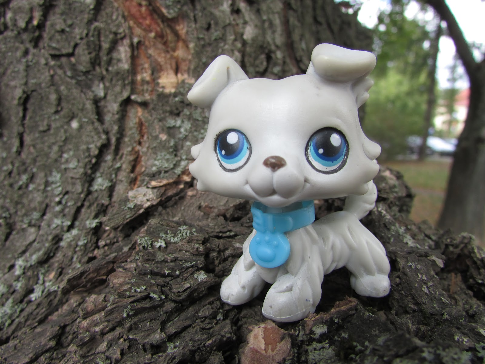 Mój świat LPS: 134. LPS: Jesienna sesja