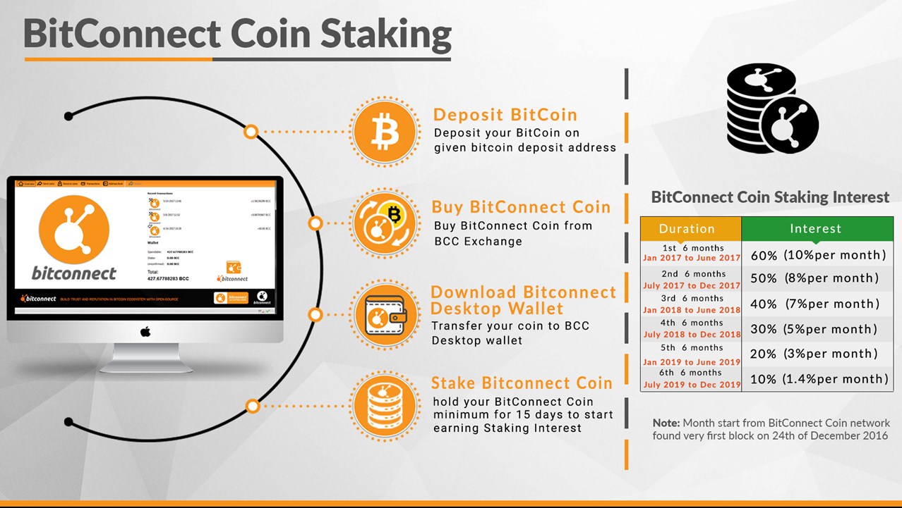 BitConnect Borneo