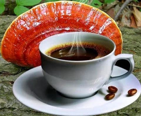 Cafe Saludable con Ganoderma y Maca