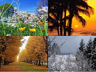 As Quatro Estações