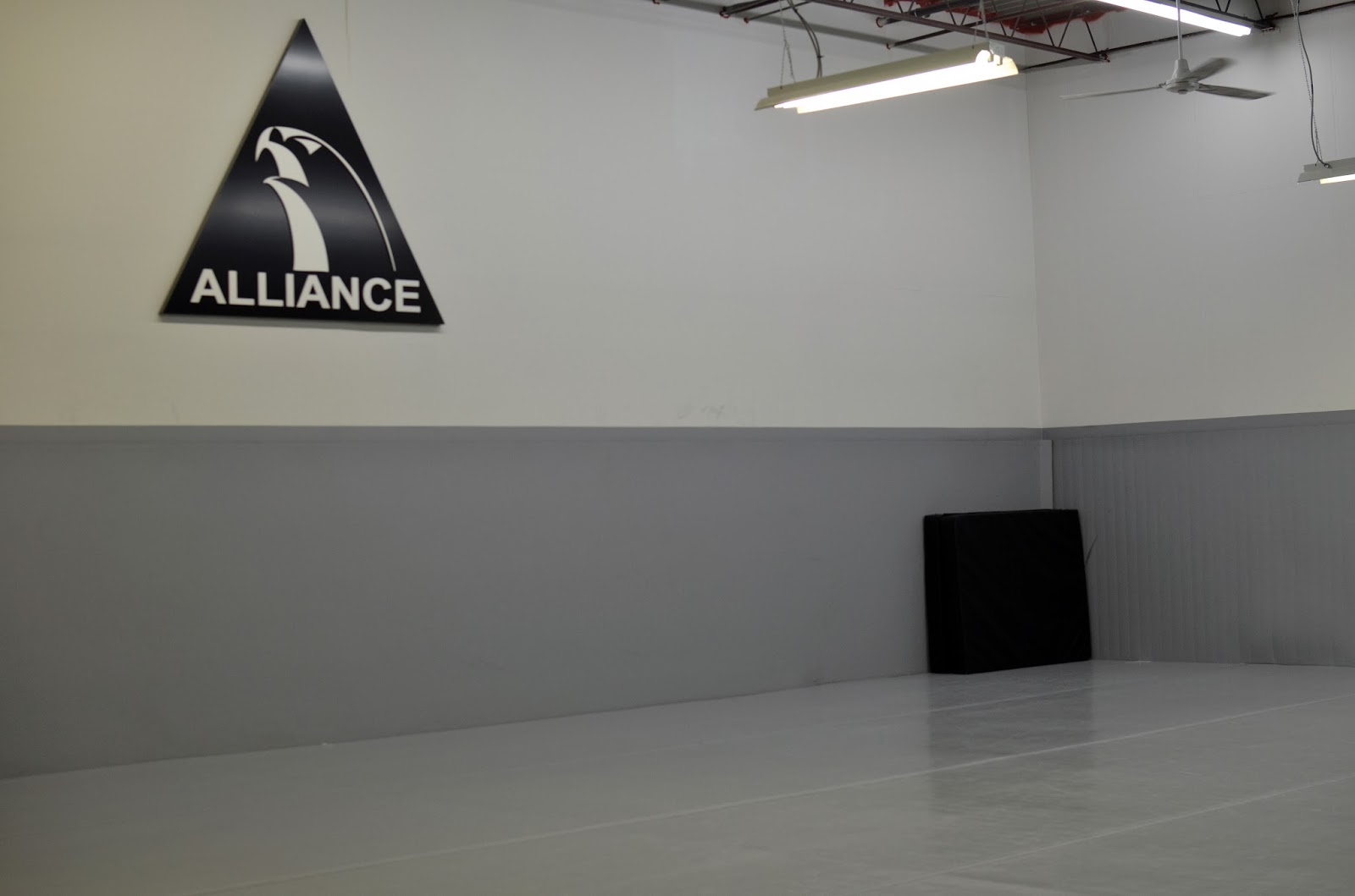 Jes' CrossFit Blog: CrossFit Edina / CrossFit Minnesota