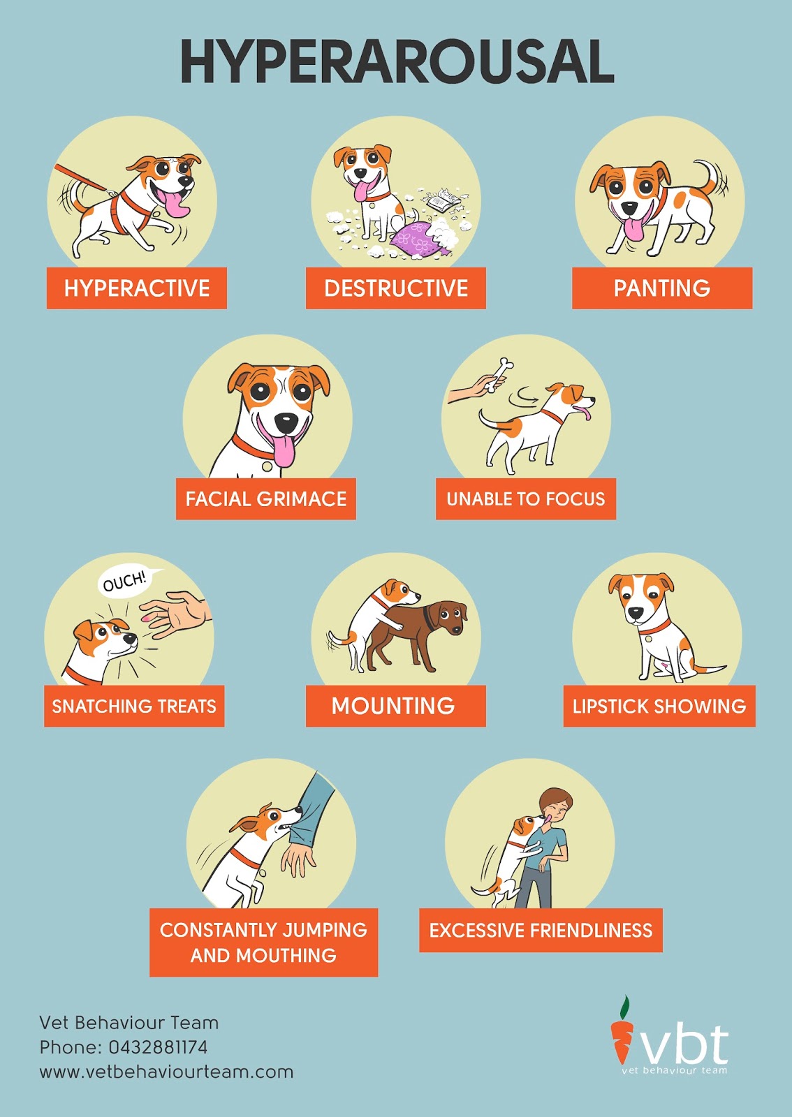 Hybrid Dog Training: Posters about stress