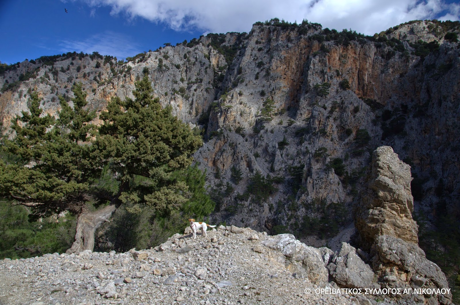EXPLORE MOUNTAINS: ΠΕΖΟΠΟΡΙΑ :ΜΕΤΑΞΟΧΩΡΙ-ΠΗΓΗ ΣΚΑΦΙΔΙΑ-ΚΑΛΥΒΕΣ-ΖΩΝΑΡΙ ...