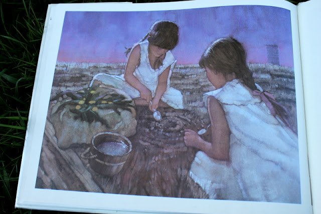 Books and Umbrellas: Dandelions by Eve Bunting & illustrated by Greg Shed