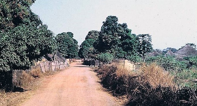 Luís Graça & Camaradas da Guiné: Guiné 61/74 - P19662: Memória dos ...