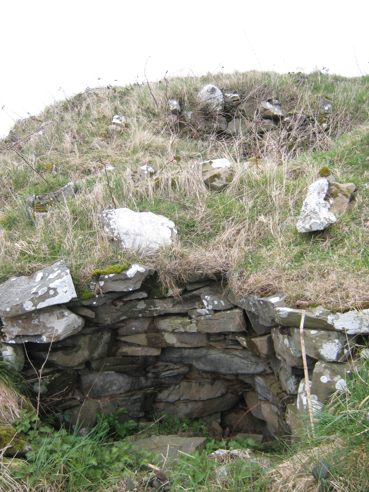 Lord Belmont in Northern Ireland: Darragh Island