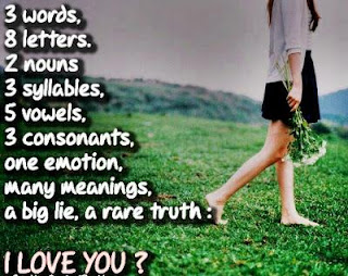 Love Quotes Collection: I Love You Means | Pic Saying