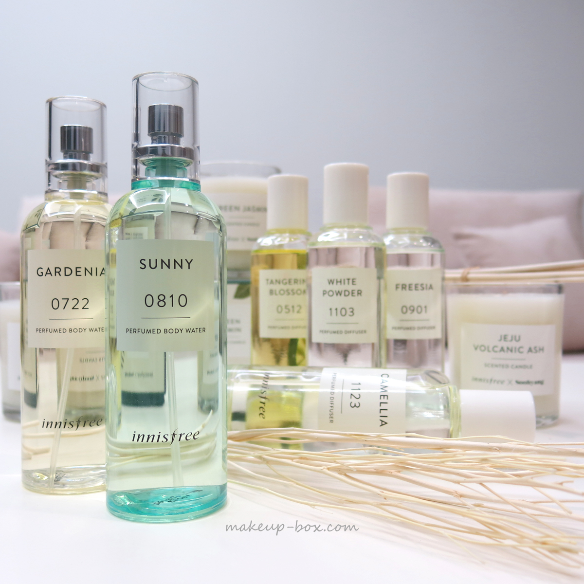 The Makeup Box: Innisfree unveils new store at VivoCity and launches ...
