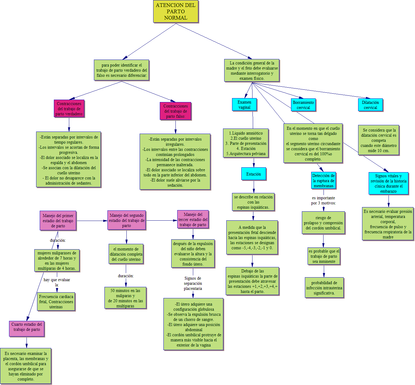 Rubi Guerrero: mapa conceptual #13: Atención de parto normal