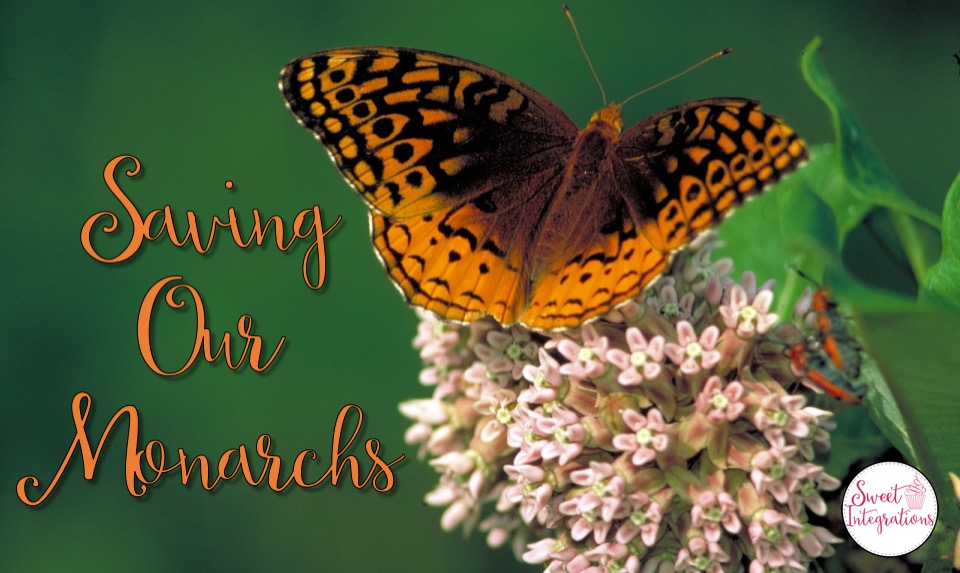 Saving Our Monarchs - 5 Ways Students Can Get Involved | Sweet Integrations
