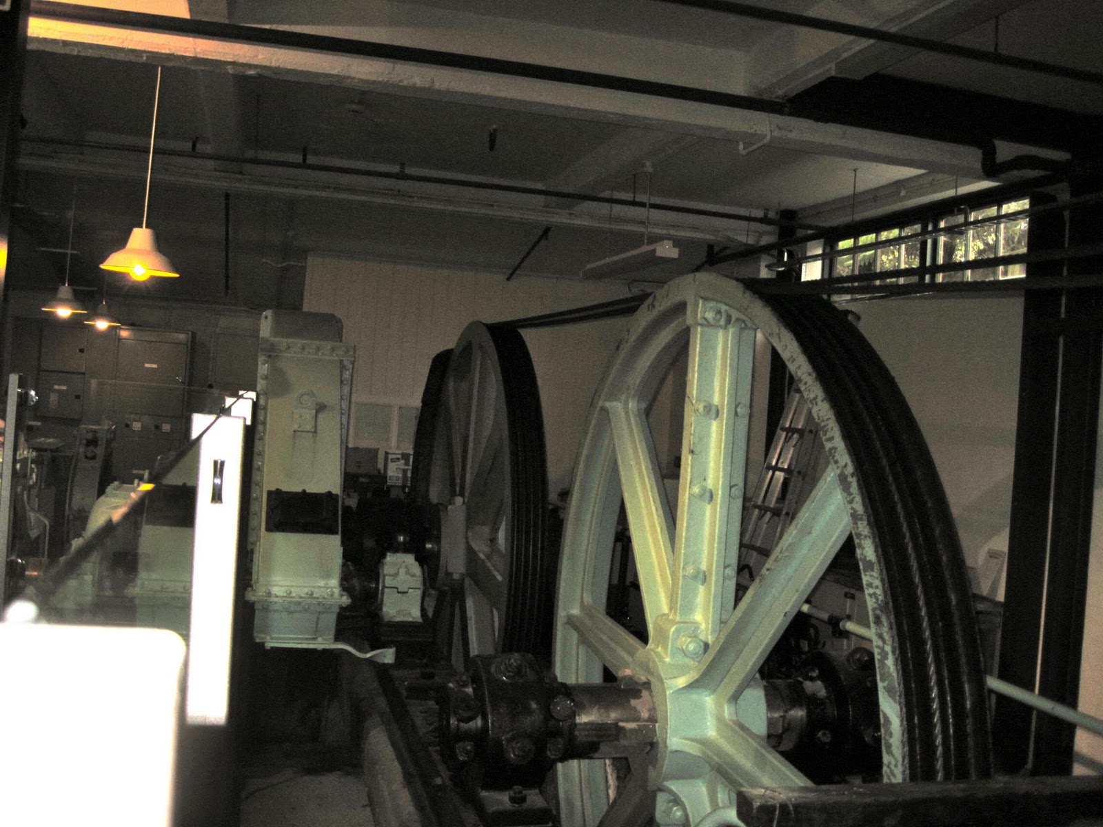 Carolyn in Aotearoa: A Free Day in Windy Welly