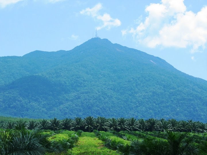 Nature tourism: GUNUNG LEDANG, JOHOR :)